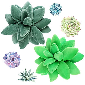 2Pcs 3D Succulents Cactus Pillow 9.8x7.8 Inch 3D Succulent Throw Pillow Cactus Plush Cute Succulents Flower Plant Shaped Cushion Baby Green Plant Throw Pillows Sofa Cushion Office Pillow Kids Toys