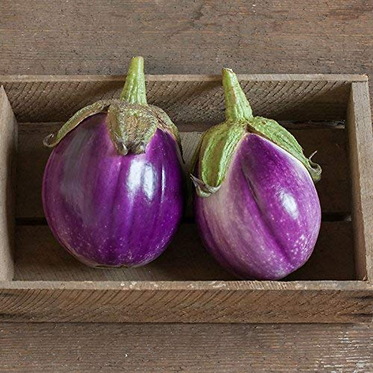 David's Garden Seeds Eggplant Rosa Bianca 2244 (Purple) 50 Non-GMO, Heirloom Seeds