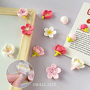 12 PCS Colorful Flower Fridge Magnet, Cherry Blossoms Refrigerator Magnets, Flower Magnets Novelty Office Home Kitchen Accessories Whiteboard Magnets