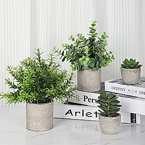 FIAHOSEY Set of 4 Fake Plant Indoor, Artificial Potted Eucalyptus Rosemary Mini Succulents Faux Plants in Paper Pulp Pots for Home Decor Living Room Bedroom Desktop Bookshelf Decoration