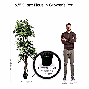 Hand-Made 6.5' Ficus Artificial Tree with Ethically Sourced Real Wood Trunks | Green | Cypress & Alabaster