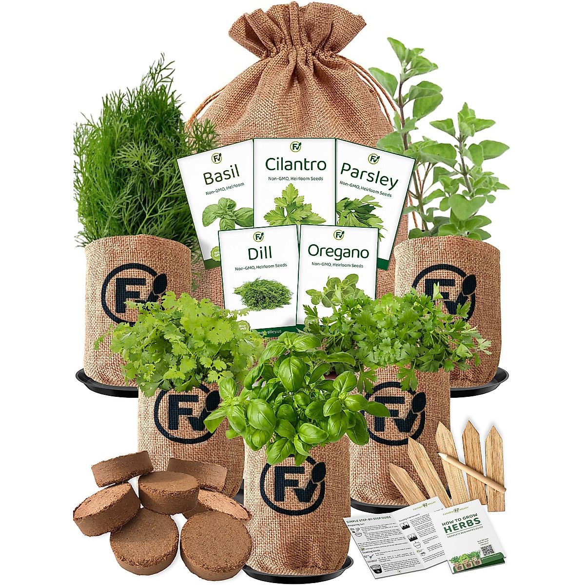 Indoor Herb Starter Grow Kit - 5 Different Medicinal & Tea Herb Seeds - Parsley, Basil, Cilantro (Coriander), Dill, Oregano - Non GMO and Heirloom - Including Pots and Soil - Made in USA