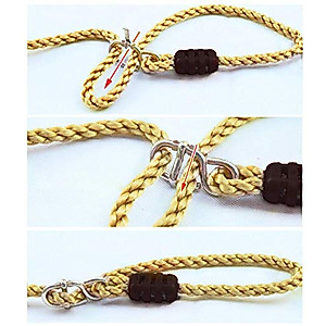 Tree Swing Ropes Hammock Chair Straps Hanging Kit with 2 Carabiners for Replacement, Adjustment or Extension - 6ft & Holds to 600lbs, Perfect for Children Swing, Outdoor Hammock and Hanging Chair