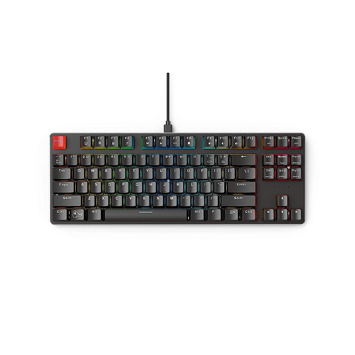 (Keyboard + Keyboard Wrist Rest) Glorious GMMK Modular Mechanical Gaming Keyboard (TKL) + Glorious Padded Wrist Rest (Black) (TKL) (Bundle)