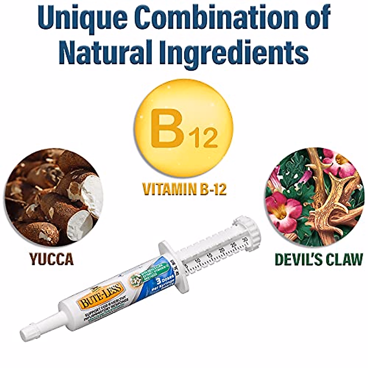 Absorbine Bute-Less Long-Term Horse Comfort & Recovery Supplement Paste, Gentle on Stomach, Devil’s Claw, Vitamin B-12, Yucca, 1oz Syringe / 3 Doses