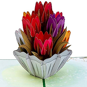 Paper Love 3D Pop Up Card, Tulips, Handmade 3D Popup Greeting Cards, For Thinking of You, Thank You, Sympathy, Wedding, Anniversary, Get Well, Just Because, Mother's Day, Valentine's Day, All Occasion, 5" x 7"