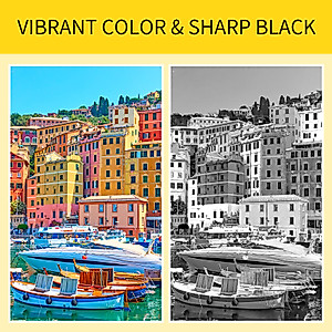 LemeroUexpect Remanufactured Ink Cartridge Replacement for Epson 302XL Ink Combo Pack 302 XL T302XL for Expression Premium XP-6000 XP-6100 Printer (Black Photo Black Cyan Magenta Yellow, 5-Pack)