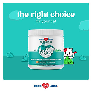 Probiotics for Cats – 4.23oz/120g Powder - Cat Probiotics and Digestive Enzymes, Cat Probiotics Powder, Promotes Healthy Stomach and Digestion (for Cats)