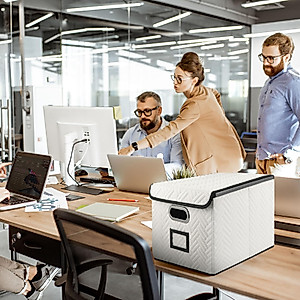 File Organizer Box - Collapsible File Storage Organizer Box with Lid and Plastic Slide, Portable Hanging Document Filing System Box for Home Office Cabinet Hand Embroidery File Folders box, White