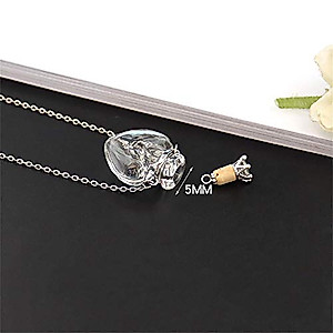 1PC Clear Heart Vial Perfume Bottle Necklaces Stainless Steel Chain Make a Wish blood vial necklace Women Jewelry