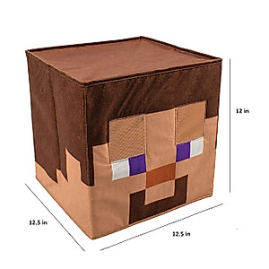 Disguise childrens Minecraft Block Headpiece, Official Minecraft Accessories, Single Size Costume Headpiece, A, One Size US, Steve