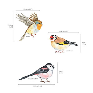 DECOWALL DS2-8038 Little Birds Kids Wall Stickers Wall Decals Peel and Stick Removable Wall Stickers for Kids Nursery Bedroom Living Room (Small) décor