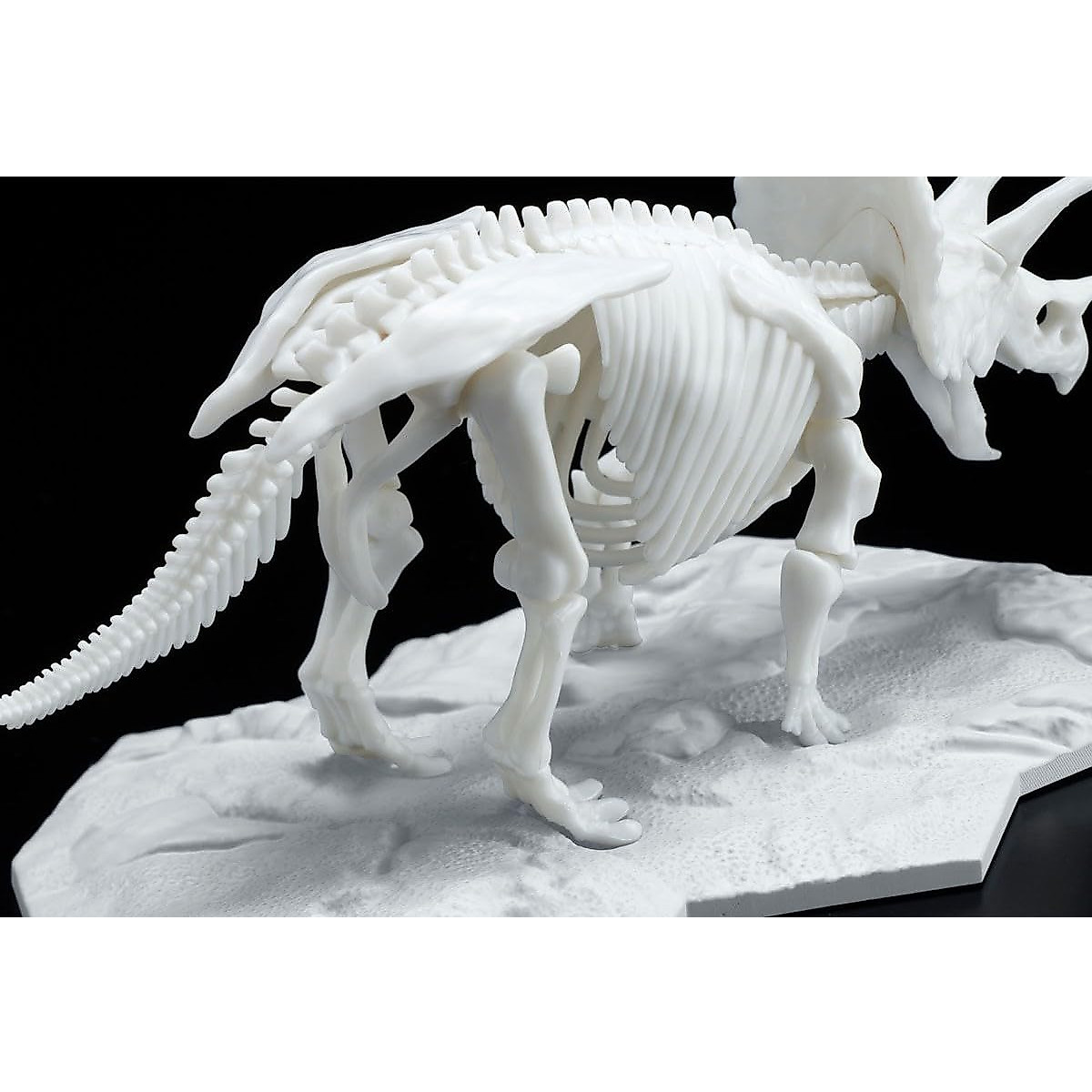 Limex Bandai Hobby - Dinosaur - Triceratops, Bandai Spirits Dinosaur Skeleton Model Kit