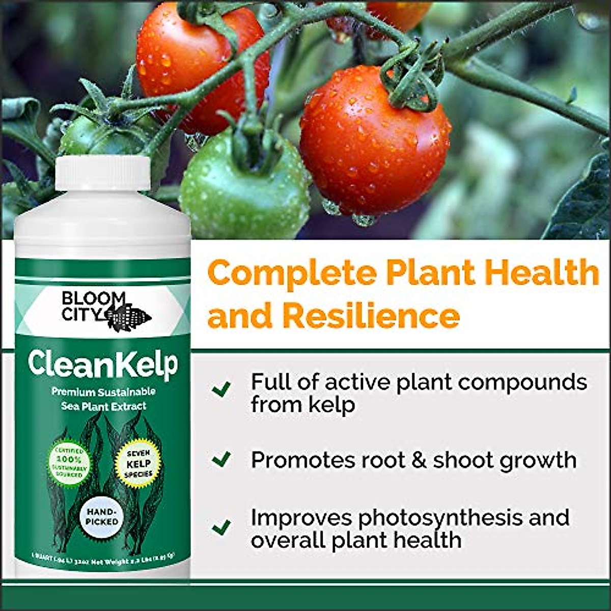 Organic Liquid Kelp Fertilizer - Seaweed Fertilizer for Plants - Concentrated Kelp & Seaweed Extract, Quart (32 oz) Makes 180 Gallons