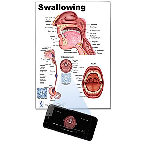 Blue Tree Publishing Swallowing anatomy education With QR Codes to see active animation (A4 laminated chart)