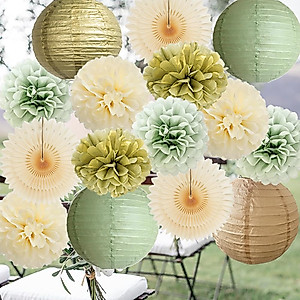 Sage Green Party Decorations Cream Paper Fans Gold Tissue Paper Pom Poms Paper Lanterns Sage Green and Gold Party Decorations for Baby Shower Bridal Shower Birthday Wedding Engagement Party