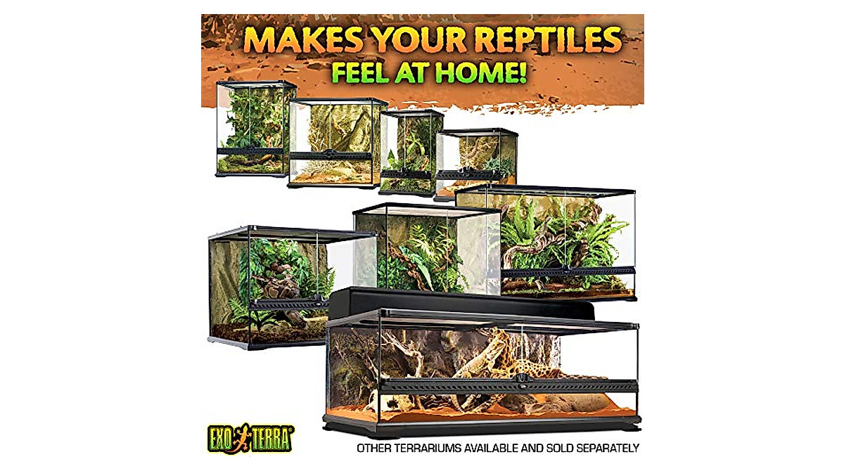 Exo Terra Mini Wide Glass Terrarium for Reptiles
