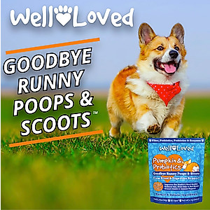 Well Loved Pumpkin for Dogs - Pumpkin Puree, Canned Pumpkin (Alternative), Fiber for Dogs, Probiotic Powder, Pumpkin Powder, Dog Diarrhea, Digestive Support, Perfect for Firm Poops and No Scoots, 6 oz