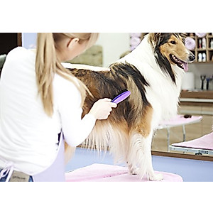 Double Sided Combo Pins and Bristle Brush by Hertzko - For Dogs and Cats with Long or Short Hair - Dense Bristles Remove Loose Hair from Top Coat and Pin Comb Removes Tangles, and Dead Undercoat (Single Sided)