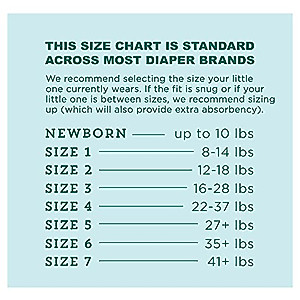 Amazon Brand - Mama Bear Gentle Touch Diapers, Hypoallergenic, Size 6, 108 Count (4 packs of 27)