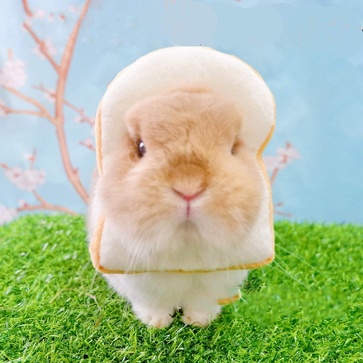 Rabbit Collar Bread Slice Collar Toast Bread-Shaped Rabbit Headdress, Pet Halloween Gift Cosplay Makeup Cap, Bunny Cartoon Costume, Dressing Up Props, Small Animal Headgear (8''- 9'' head girth)