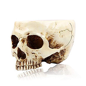 RMM Halloween Decoration Retro Human Skull Head Flower Pot Planter Bed Box Container Replica Home Bar Décor,Clear
