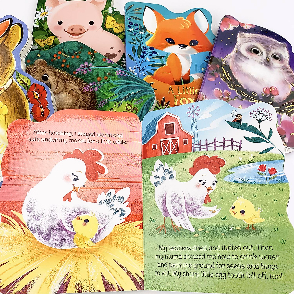 A Little Chick - Children's Animal Shaped Board Book
