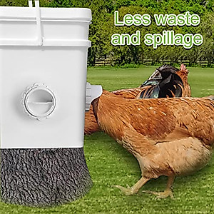 DIY Chicken Feeder No Waste 4 Ports-1 Hole Saw, Rain Proof Poultry Feeder Gravity Feed Kit for Buckets Barrels Bins and Troughs……