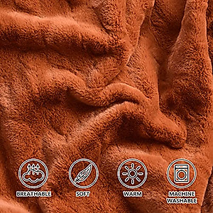 Krifey Oversized Minky Blanket, Super Soft Fluffy Luxury Throw Blanket Comfy Faux Fur Bed Throw Camel 60" x 80"