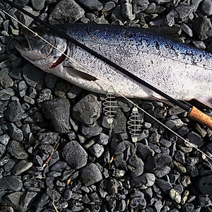 BESPORTBLE Fishing Tools Tackle Fishing Baits 12pcs Fishing Bait Fishing Bait baits Bait Cage Fishing Lure Carp Bait Fishing Tools Fishing Tool