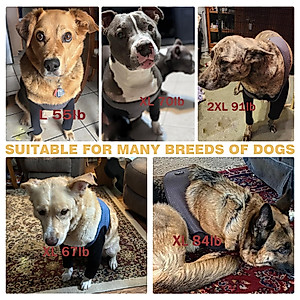 Dog Sleeves for Wounds Both Front Legs，Cone Collar Alternative, Abrasion Resistant Dog Recovery Sleeve, Washable 2.5mm Thick and Waterproof, Breathable Pet Wounds Prevent Licking, Bite Grey (Large)