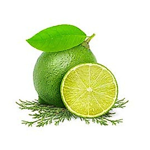 Fruits & Passion [Cucina - Sea Salt and Amalfi Lemon Liquid Hand Soap Refill, Kitchen Hand Soap Refill, Vegan & Cruelty-Free, All Natural Moisturizing Hand Wash Refill (33.8 fl oz)