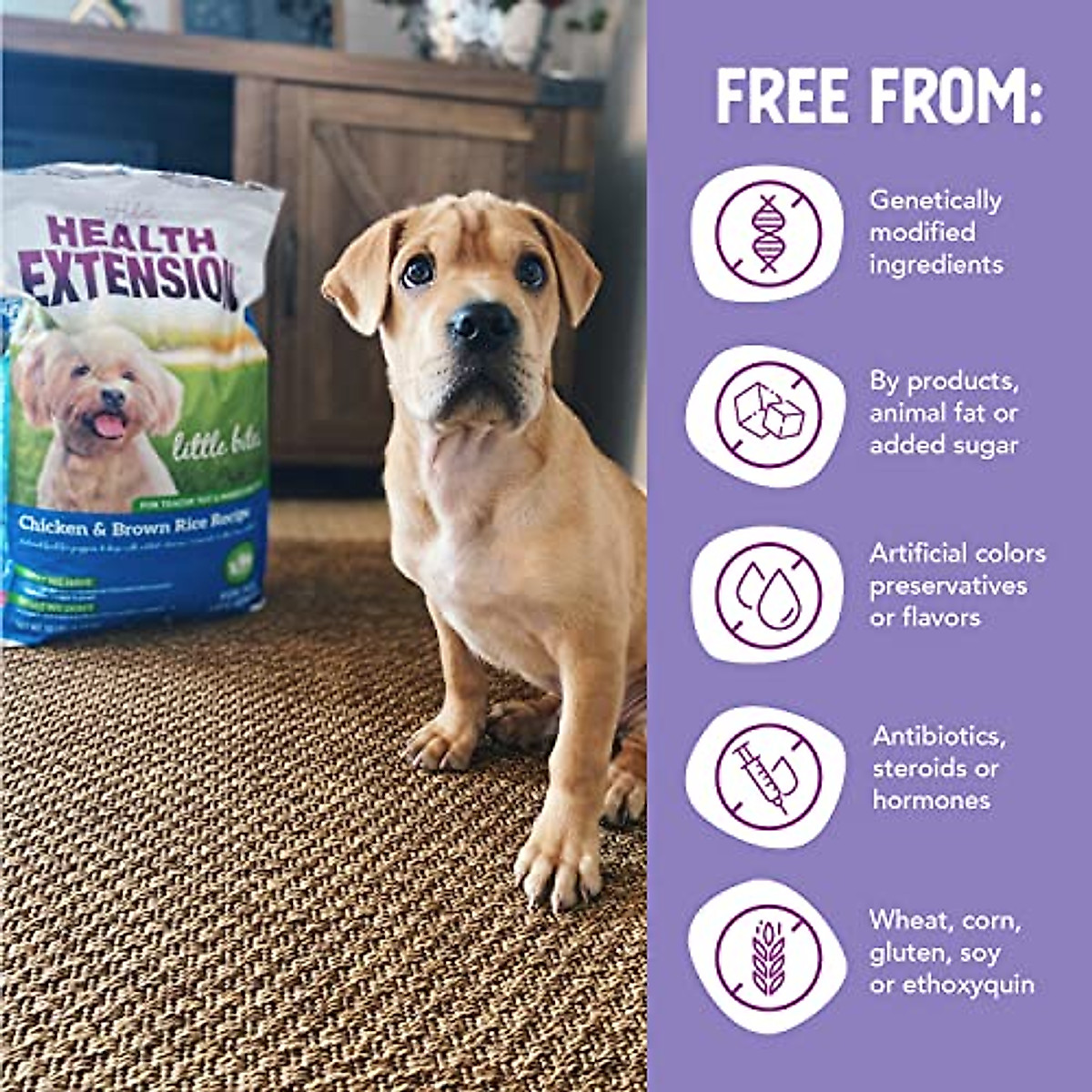 Health Extension Little Bites Dry Dog Food, Natural Food with Added Vitamins & Minerals, Suitable for Teacup, Toy & Miniature Dogs, Chicken & Brown Rice Recipe (4 Pound / 1.8 Kg)