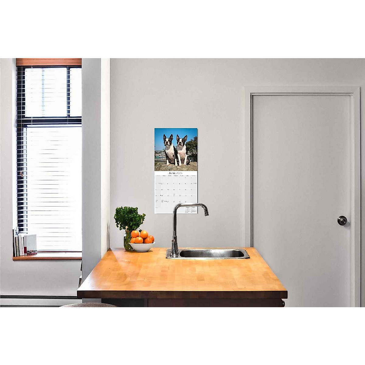 2023 2024 Boston Terrier Calendar - Dog Breed Monthly Wall Calendar - 12 x 24 Open - Thick No-Bleed Paper - Giftable - Academic Teacher's Planner Calendar Organizing & Planning - Made in USA