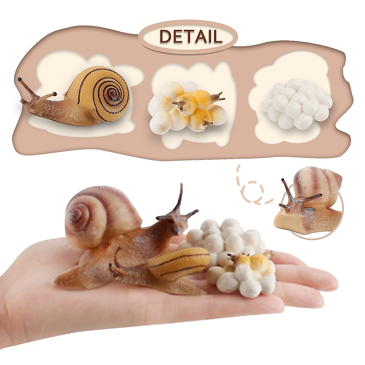 Snail Life Cycle of Snail Toys Life Cycle Figures Set Realistic Preschool Animals Figurines Eduactional Project Diorama Model Toy for Kids