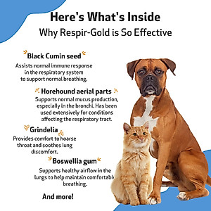 Pet Wellbeing Respir-Gold for Dogs & Cats - Supports Healthy Breathing, Open Airways, Respiratory Support, Black Cumin, Horehound, Grindelia - Veterinarian-Formulated Herbal Supplement 4 oz (118 ml)