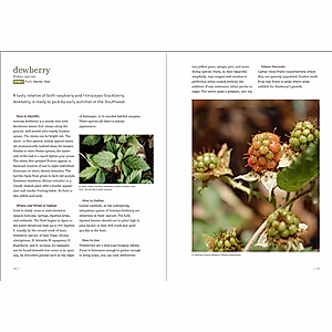 Southwest Foraging: 117 Wild and Flavorful Edibles from Barrel Cactus to Wild Oregano (Regional Foraging Series)