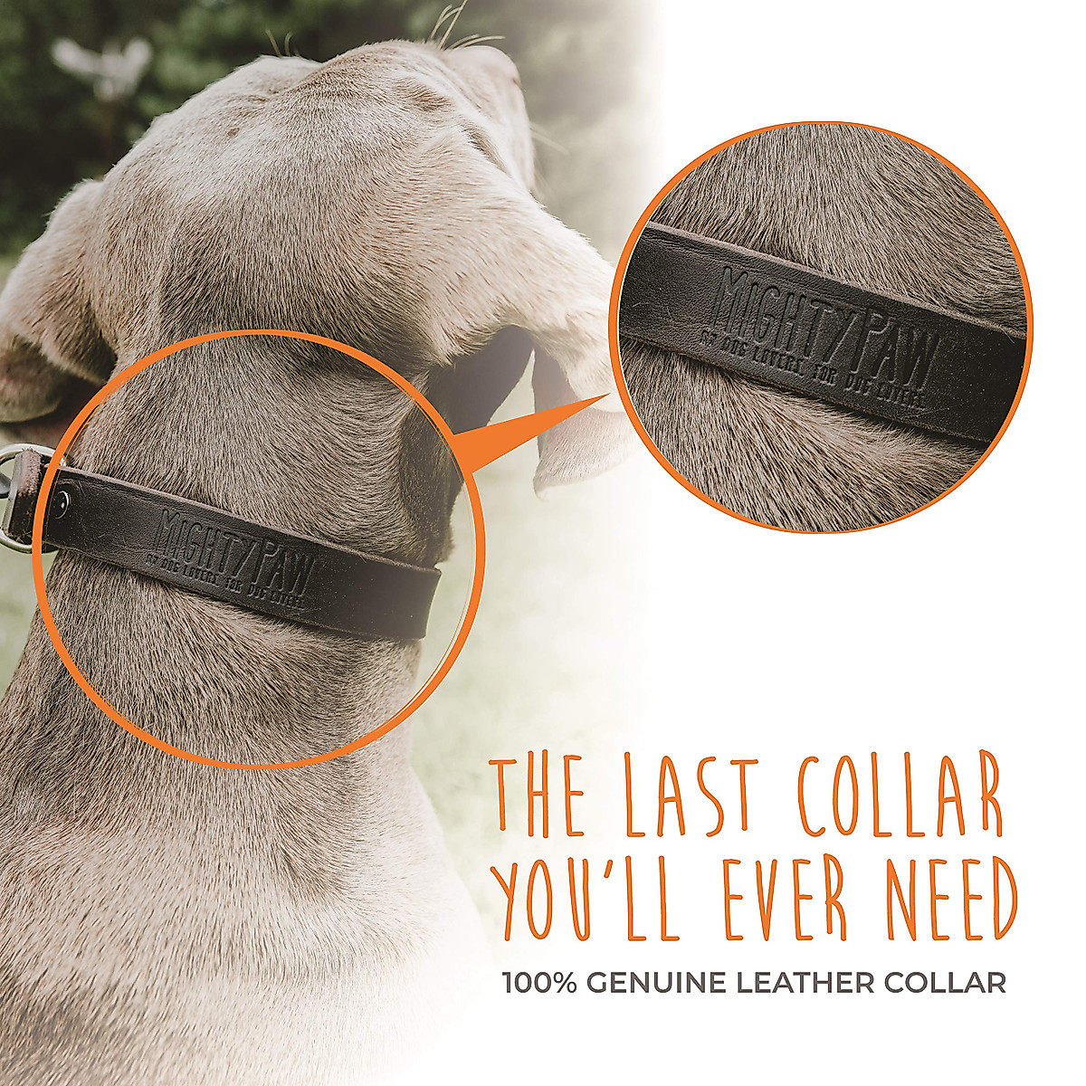 Mighty Paw Martingale Dog Collar - No Pull Design - Stainless Steel Chain - Limited Chain Cinch Training - Dog Collar Leather Martingale - Brown Leather Martingale Training Collar - Large Size Collar