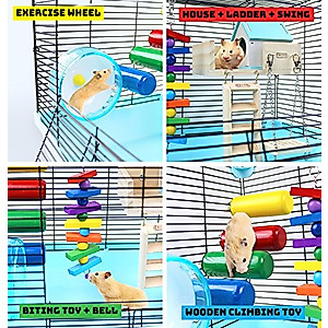 Hamster Cage | Dwarf Hamster Habitat with Exercise Wheel, Water Bottle & Accessories | 18" L x 12.5" W x 13.5" H by GalaPet