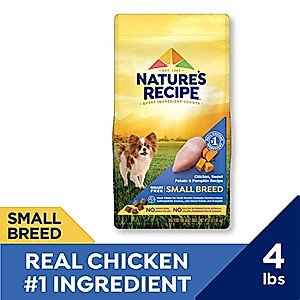 Nature's Recipe Grain Free Small Breed Dry Dog Food, Chicken, Sweet Potato & Pumpkin Recipe, 4 Pounds, Easy to Digest (Package May Vary)