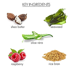 Whish Beauty Body Butter for Women - Moisturizing Body Lotion for Dry Skin - Antioxidant-Rich with Shea Butter, Aloe, & Raspberry Butter - Paraben & Sulfate Free - Lavender - 5 fl oz