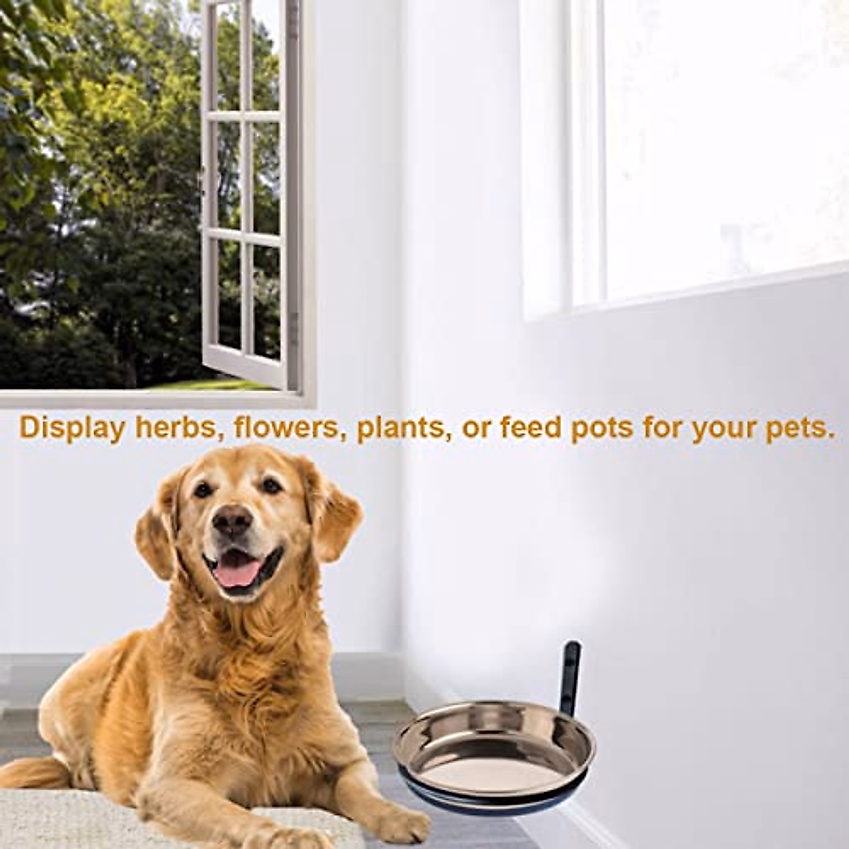 AYSUM 8 Inch Flower Pot Holder Ring 6 Pack Wall Mounted Plant Holder Ring Metal Black Hanging Basket Bracket for Home Garden Indoor Outdoor Plants Planters