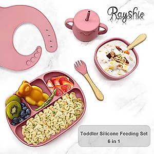 Rayshie Silicone Baby Feeding Supplies 6 in 1, Baby Dishes, Baby Plates for Babies, Baby Utensils 6-12 Months, Silicone Bibs for Babies, Straw Cup, Baby Led Weaning Supplies, BPA Free