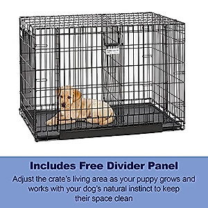 MidWest Homes for Pets Ovation Double Door Dog Crate, 24-Inch