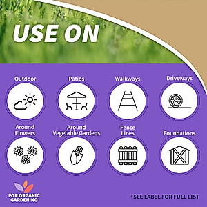 Bonide Captain Jack's Deadweed Brew, 128 oz Ready-to-Use with Attached Power Sprayer, Controls All Types of Weeds and Grasses, For Organic Gardening