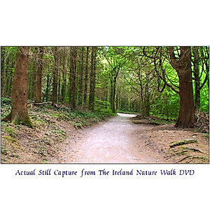 Ireland Nature Walk Treadmill Scenery DVD