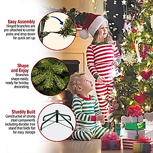 National Tree Company Artificial Full Christmas Tree, Green, Dunhill Fir, Includes Stand, 9 Feet