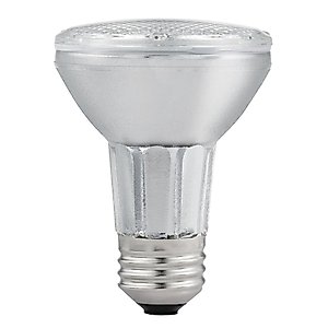 Philips 39W PAR20 Metal Halide Flood Bulb