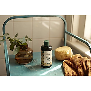 The Body Shop Wild Argan Oil Shower Gel, 8.4 Fl Oz (Pack of 1)