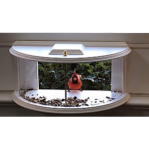Clearview Window Bird Feeder by Paradise Birdhouses